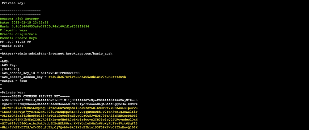 Detect Leaked Secrets with TruffleHog
