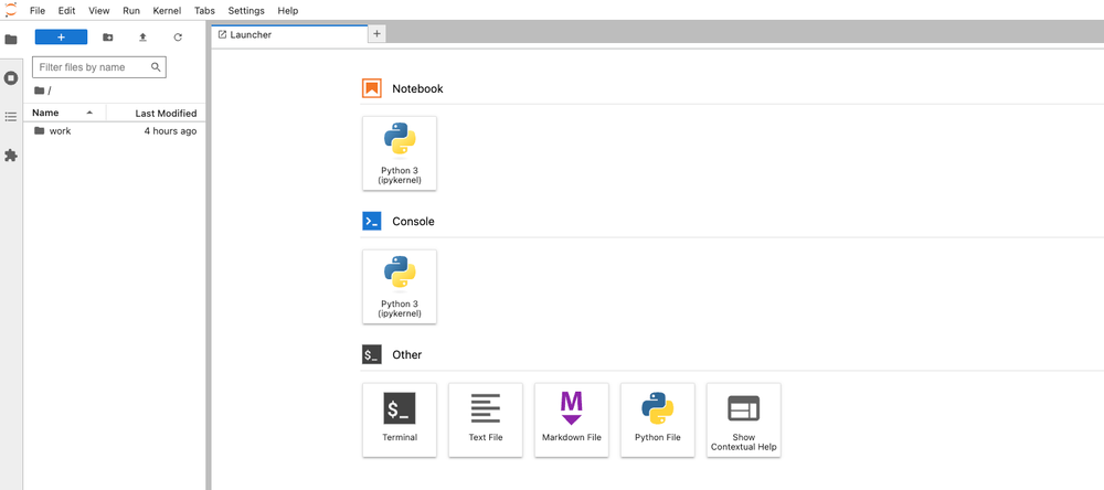 Self-Hosted Jupyter Notebooks for Data Science Professionals
