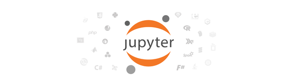 Self-Hosted Jupyter Notebooks for Data Science Professionals